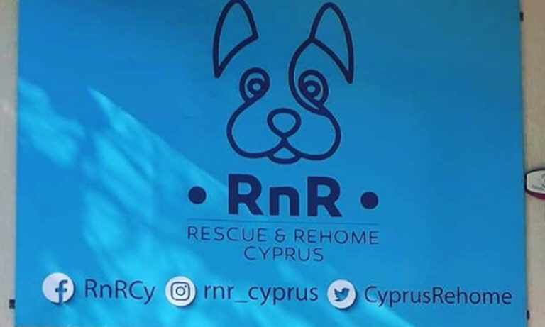 Adopt a Dog from Cyprus - Rescue & Rehome Charity